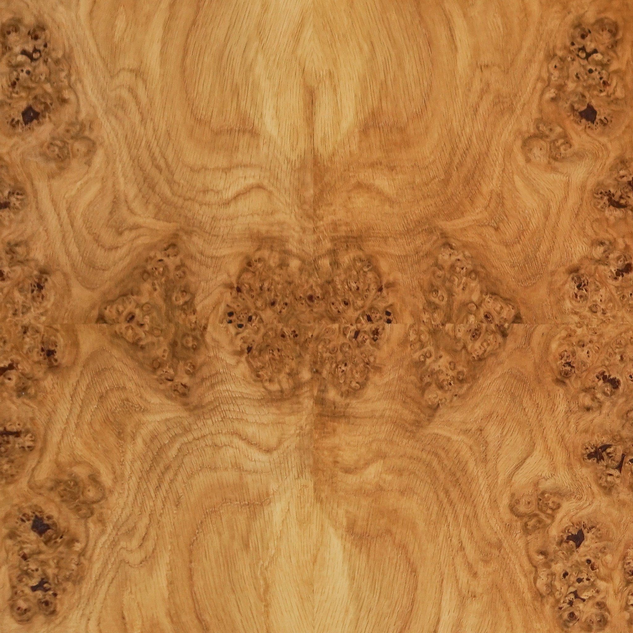Oak Burl – CROFT HOUSE